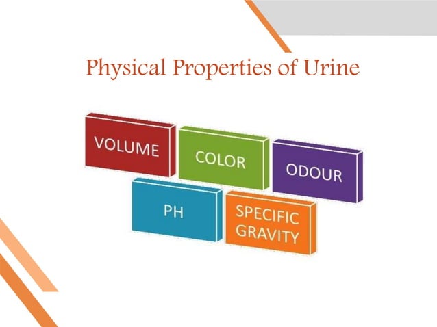 Urine and urinalysis | PPTX | Chemistry | Science