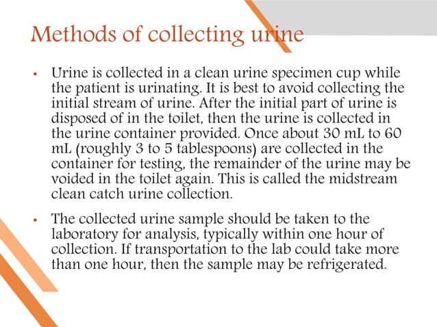 Urine and urinalysis | PPTX | Chemistry | Science