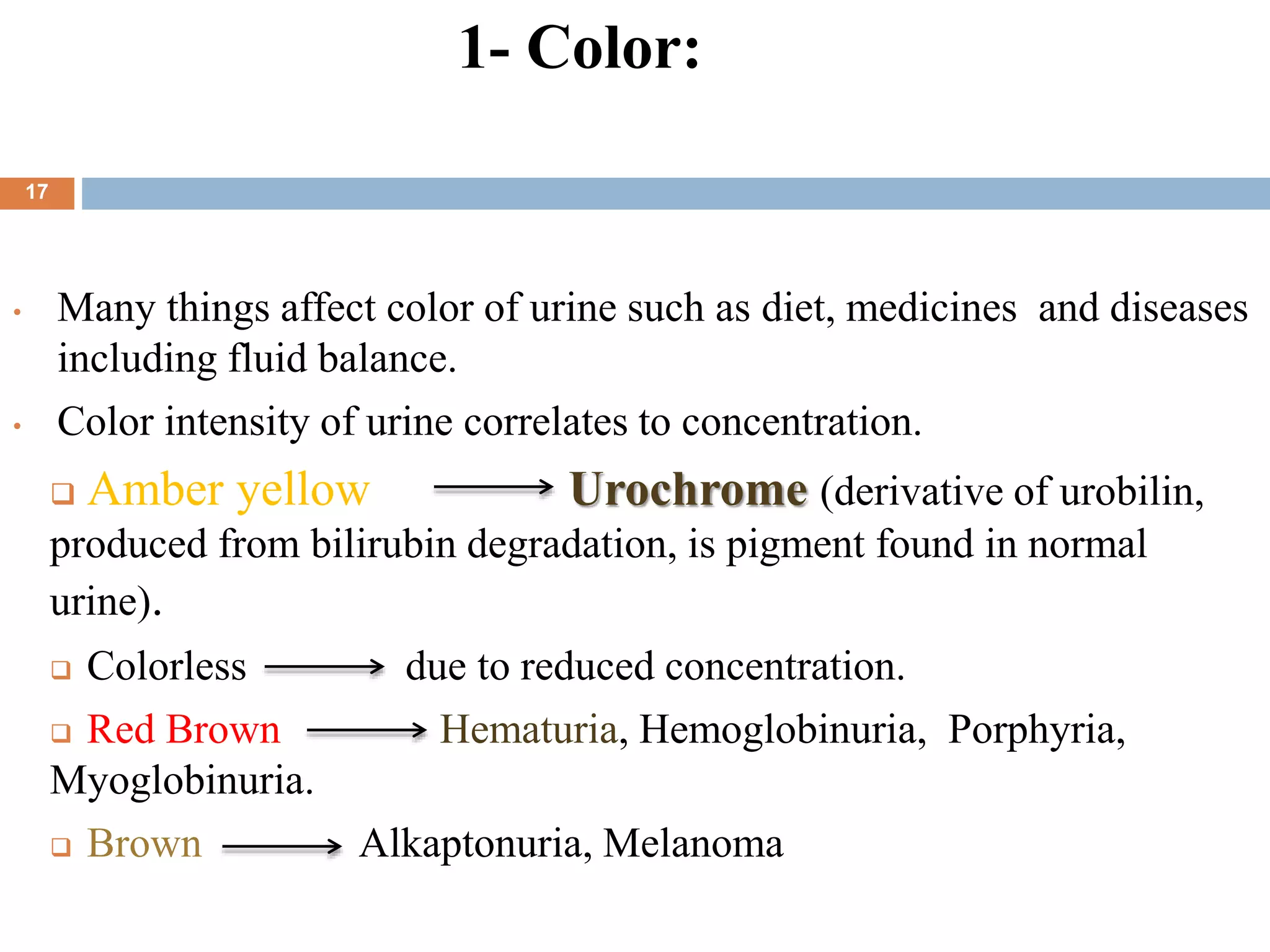 urine basics.pptx