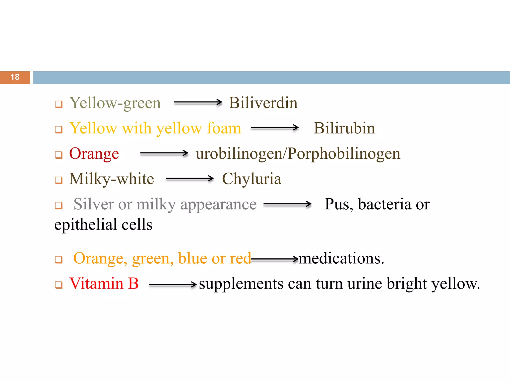 urine basics.pptx