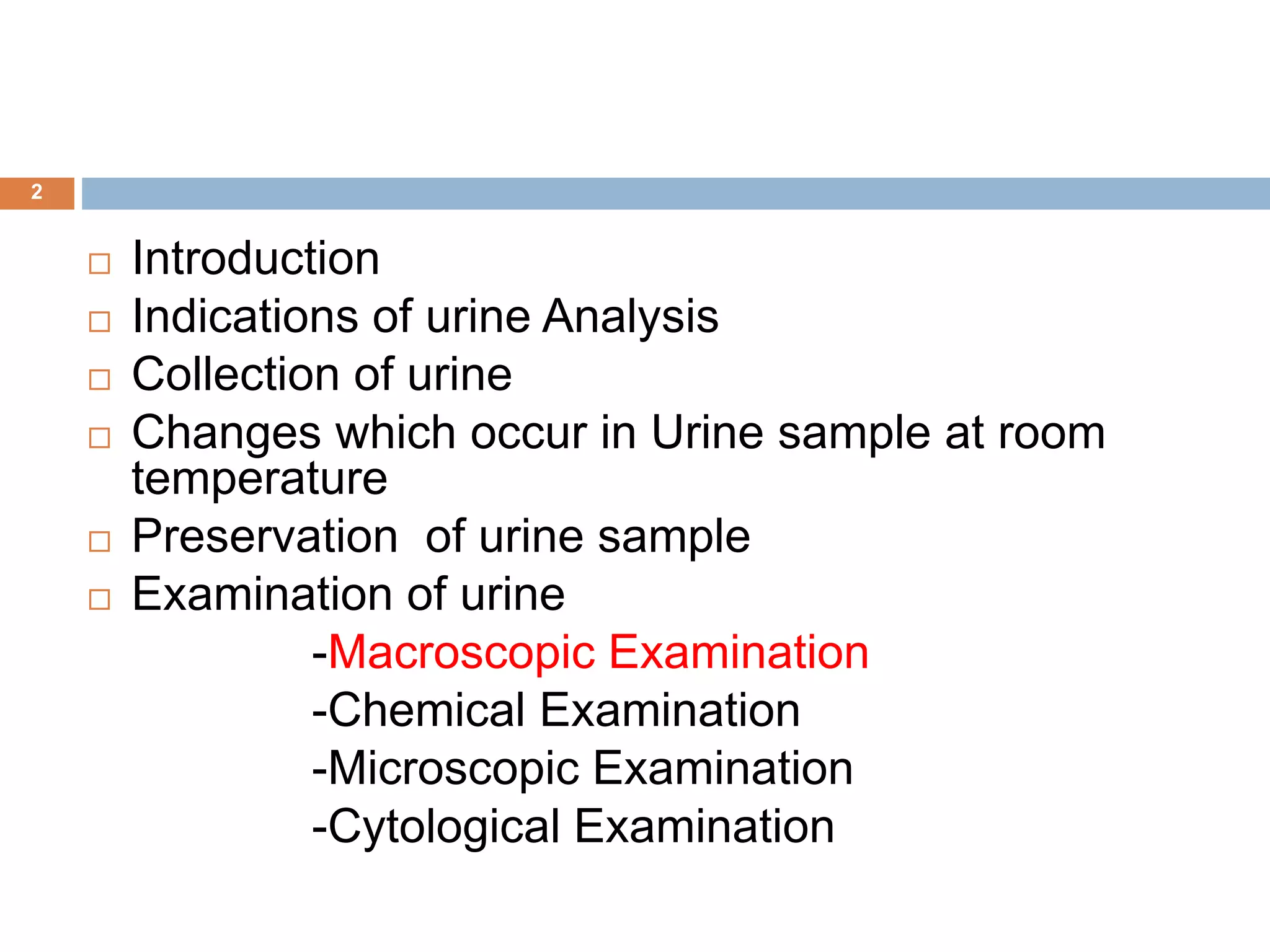 urine basics.pptx
