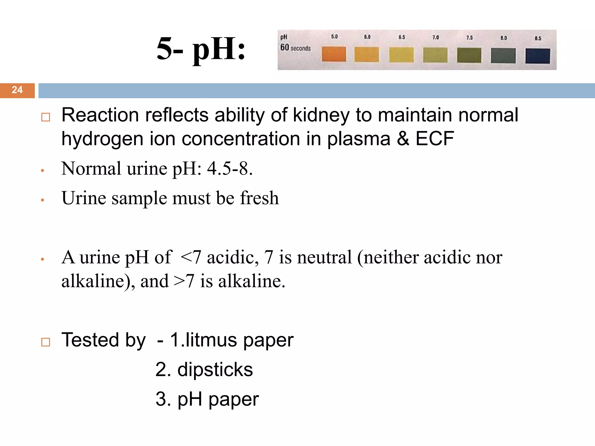 urine basics.pptx