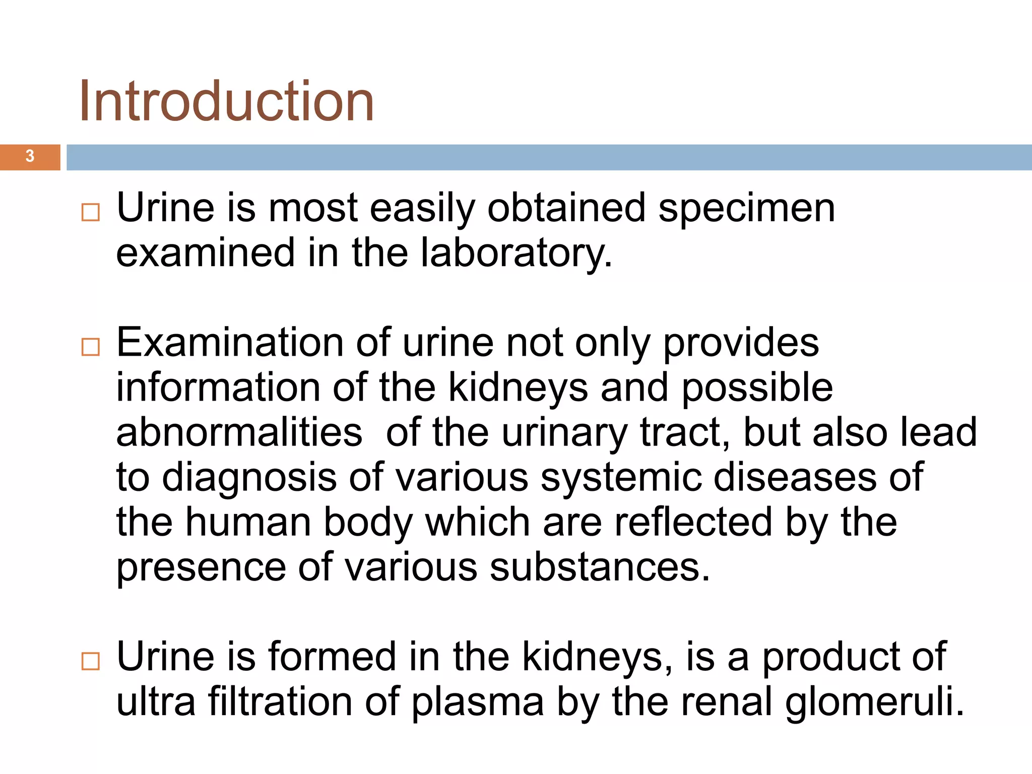 urine basics.pptx