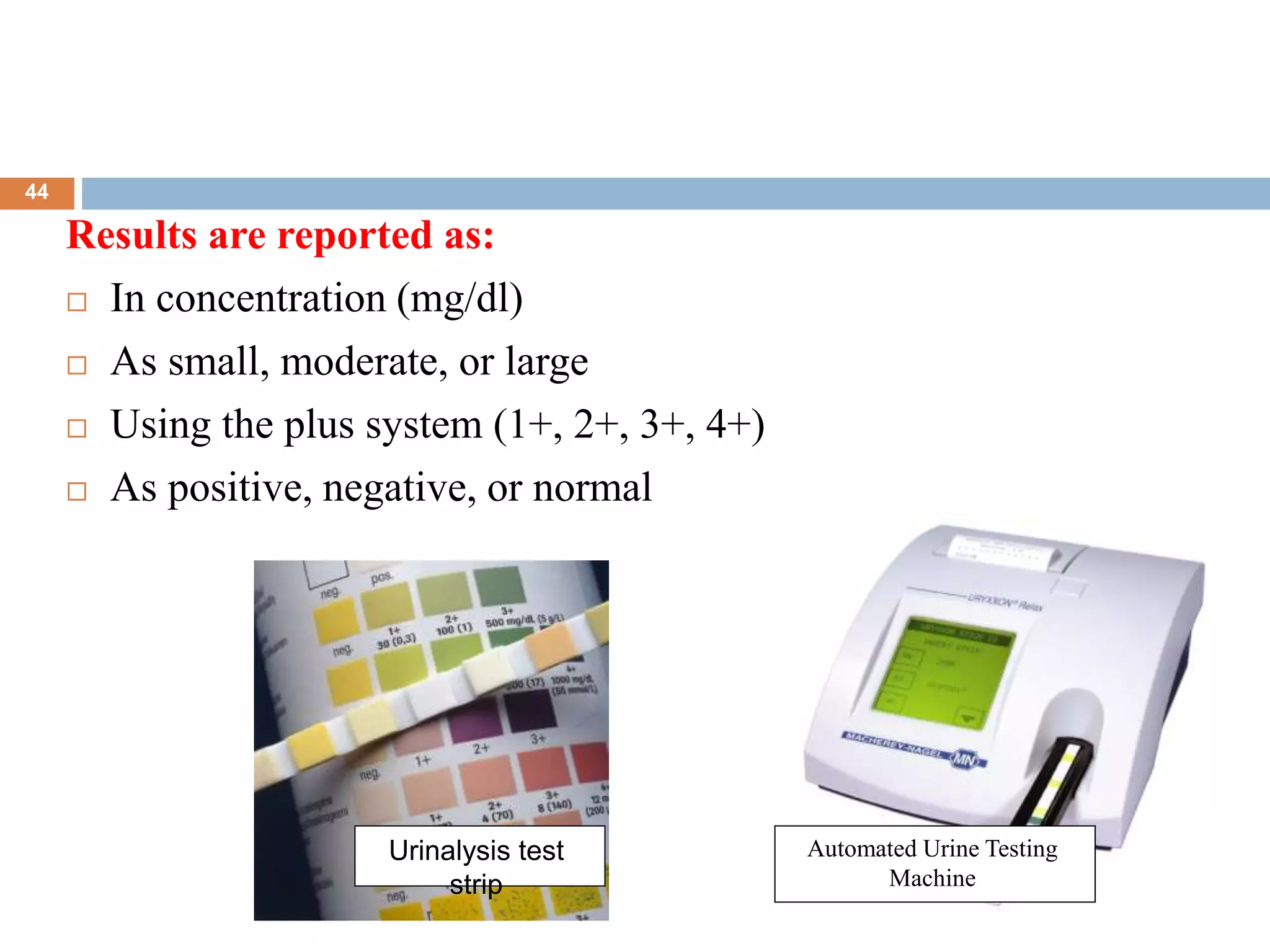 urine basics.pptx