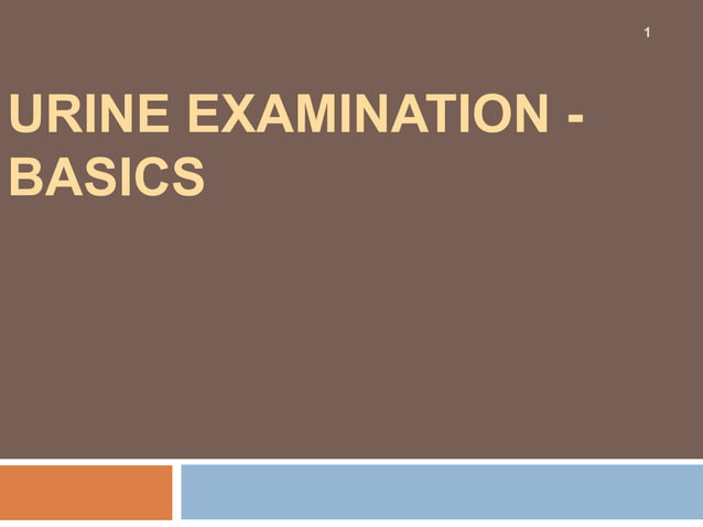 urine basics.pptx
