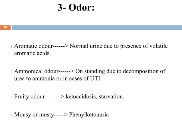 urine basics.pptx