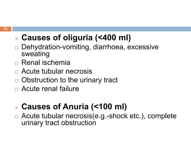 urine basics.pptx