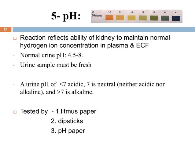 urine basics.pptx