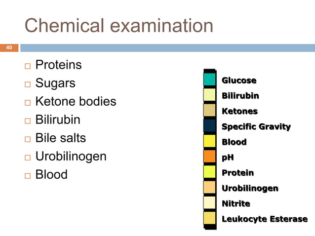 urine basics.pptx
