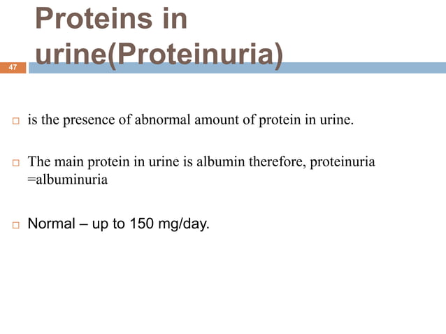 urine basics.pptx