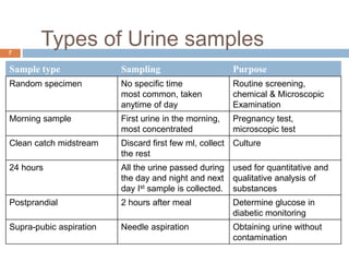 urine basics.pptx