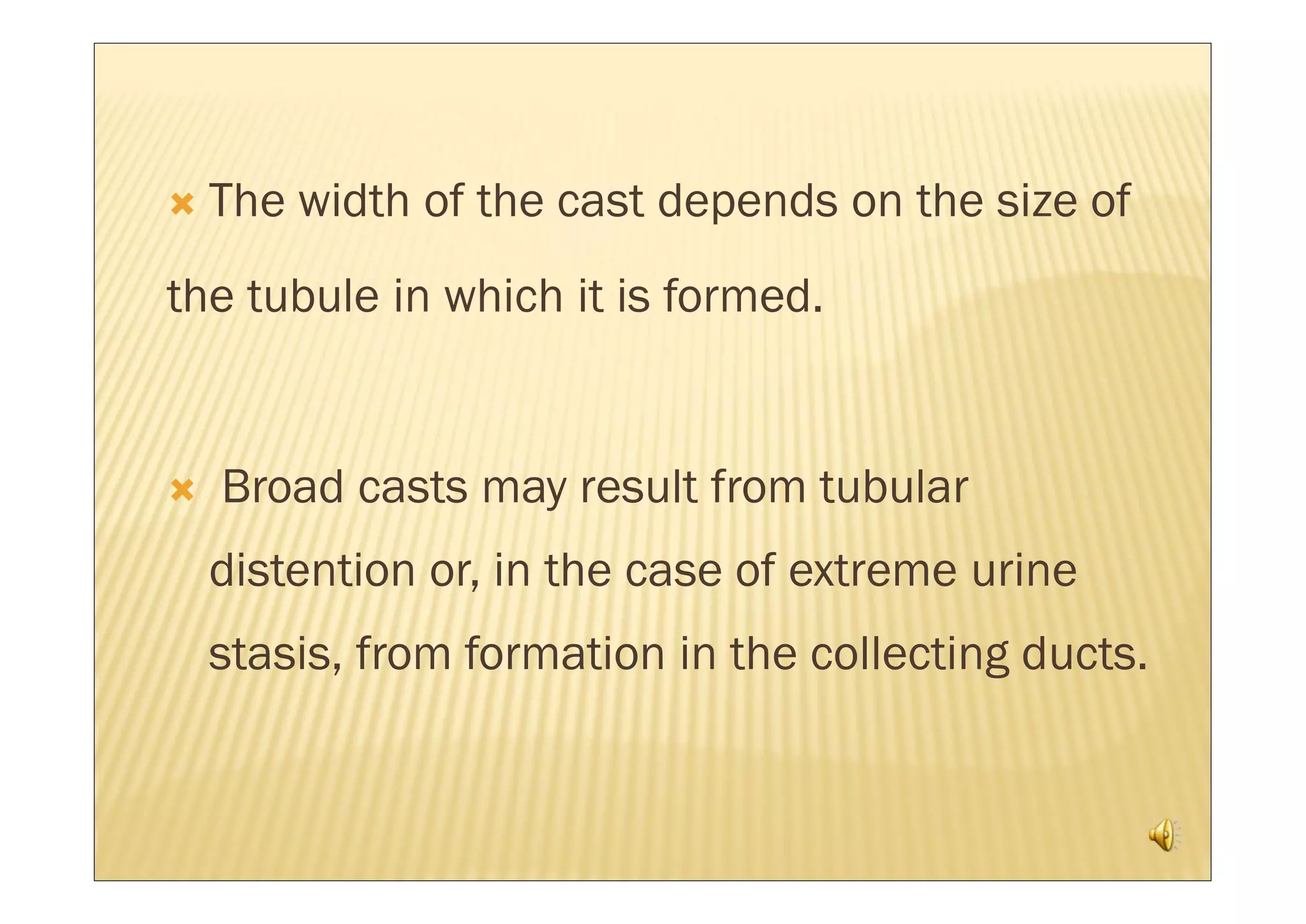 Urine casts | PDF