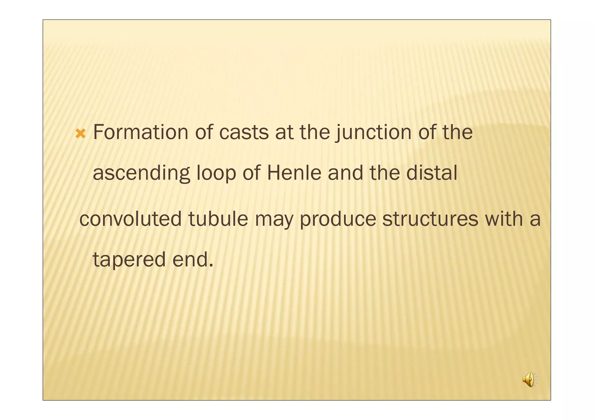 Urine casts | PDF