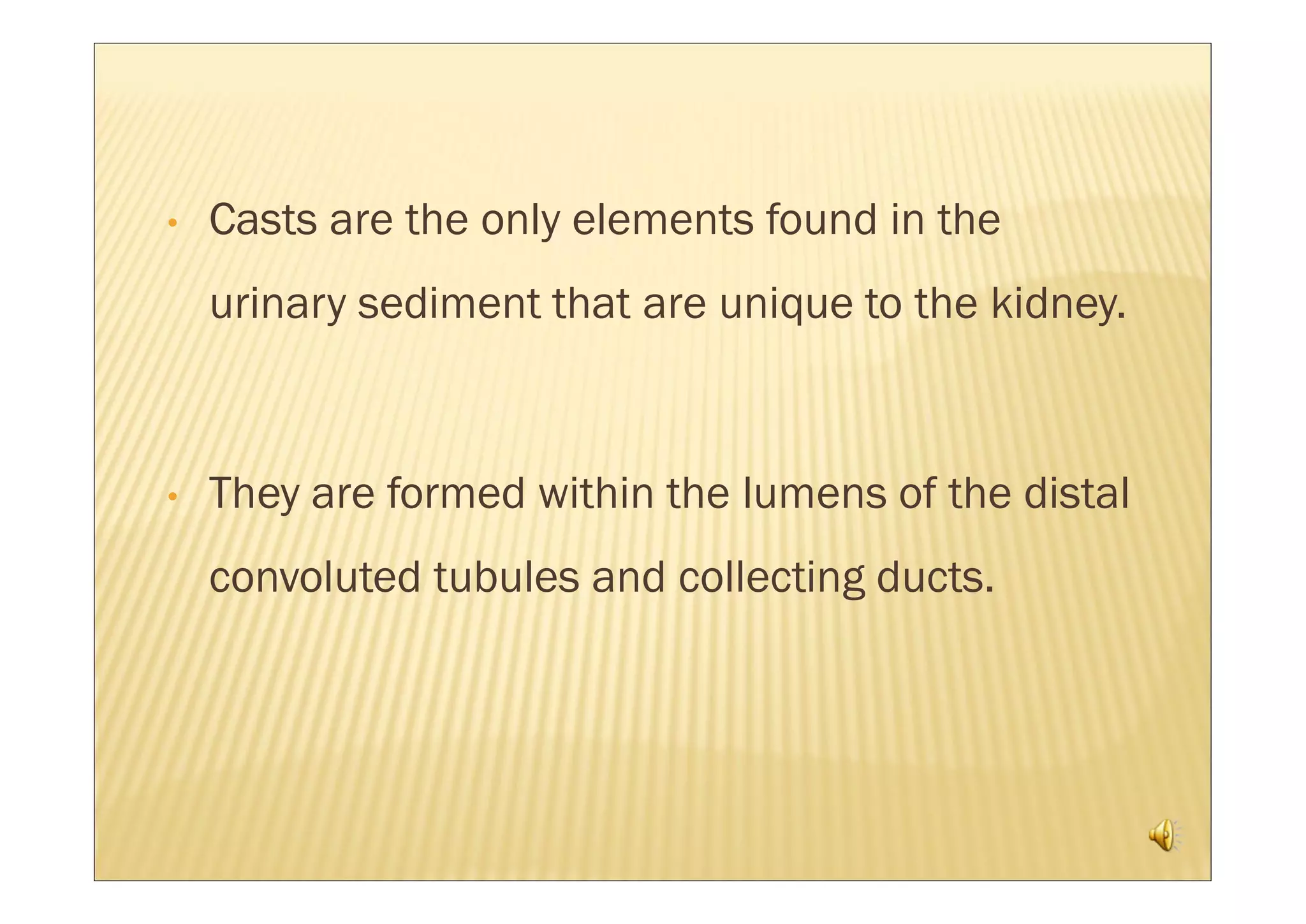 Urine casts | PDF
