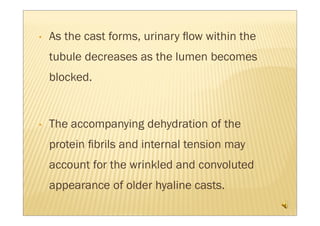 Urine casts | PDF
