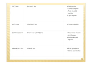 Urine casts | PDF