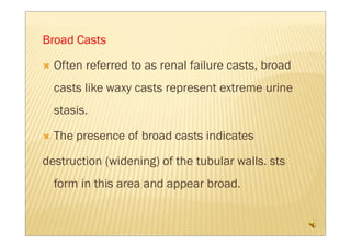 Broad Casts In Urine