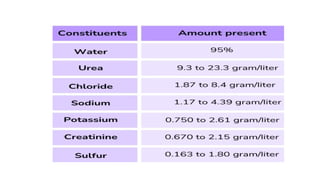 URINE CHEMISTRY AND ITS CONSTITUENTS ,Biochemistry PPT.pptx