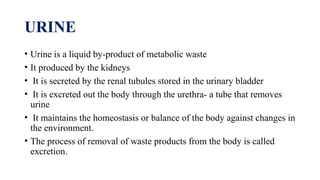 URINE CHEMISTRY AND ITS CONSTITUENTS ,Biochemistry PPT.pptx