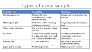 URINE CHEMISTRY AND ITS CONSTITUENTS ,Biochemistry PPT.pptx