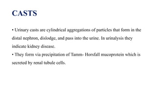 URINE CHEMISTRY AND ITS CONSTITUENTS ,Biochemistry PPT.pptx