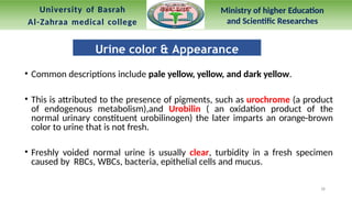 Urine composiotion and test abnormal urine constituents | PPTX
