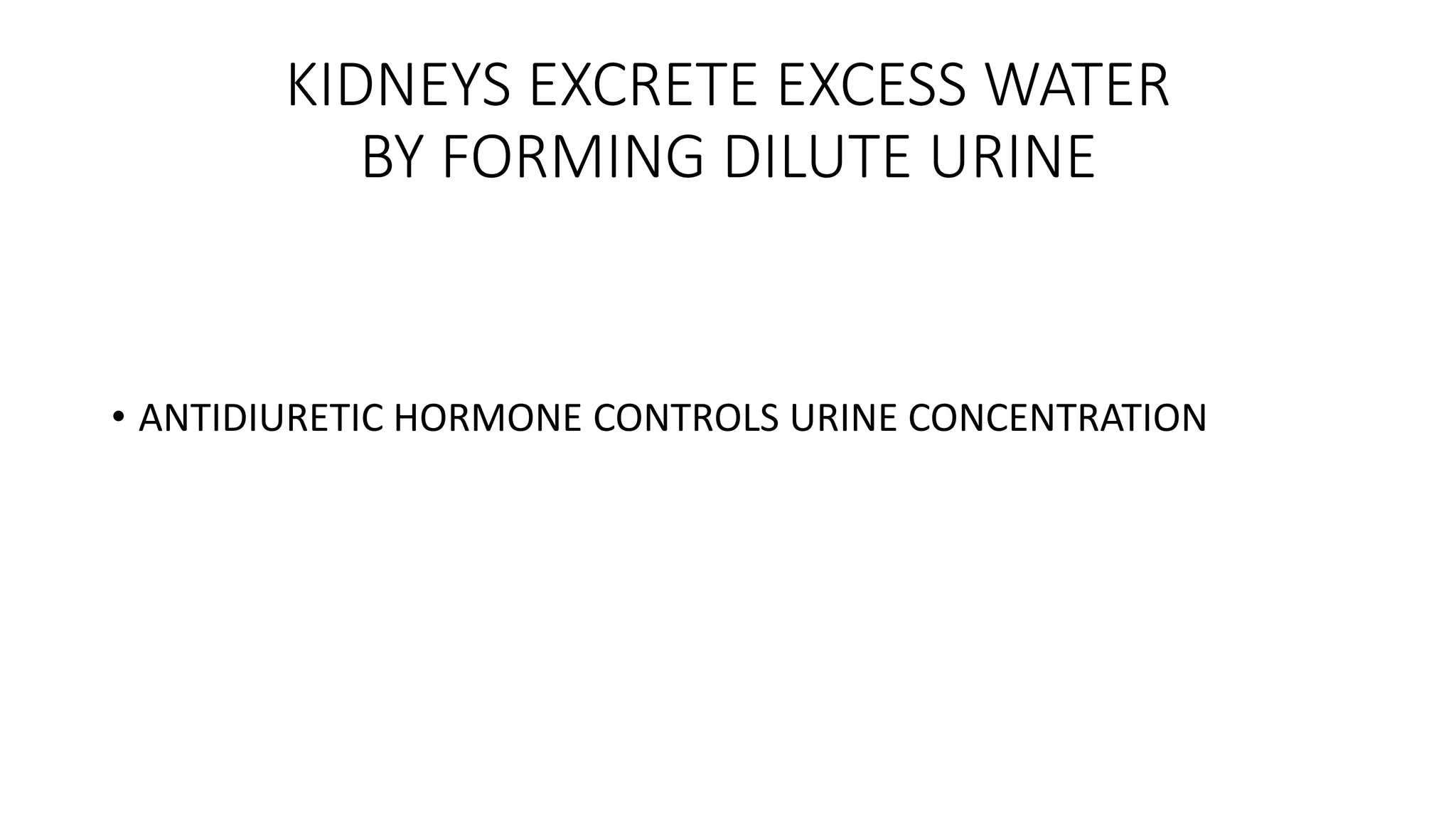 Urine Concentration and Dilution.pptx