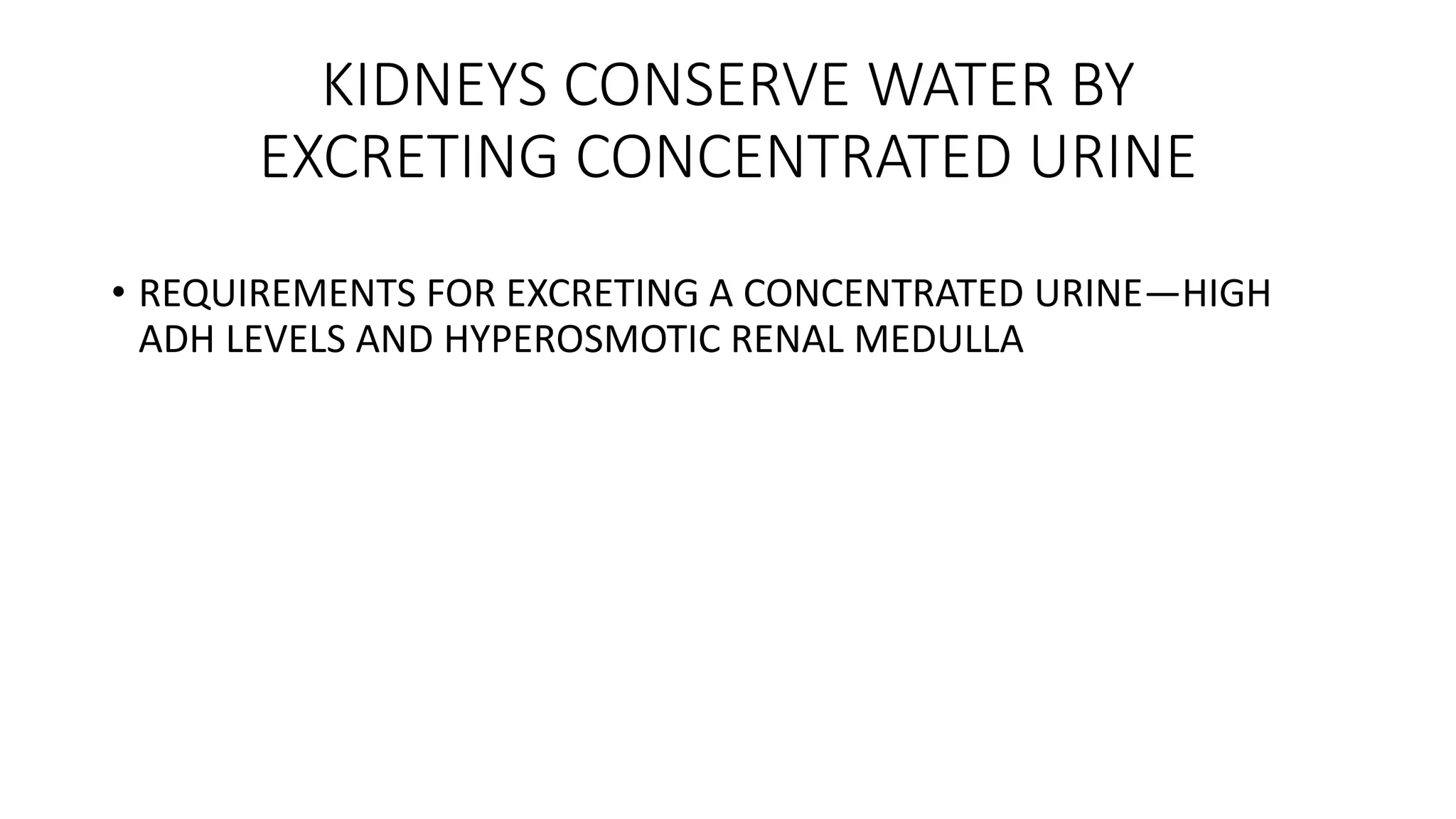Urine Concentration and Dilution.pptx