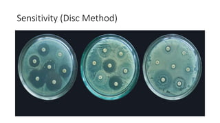 URINE culture and sensitivity.pptx