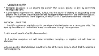 URINE culture and sensitivity.pptx