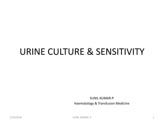 Urine culture and sensitivity | PPTX