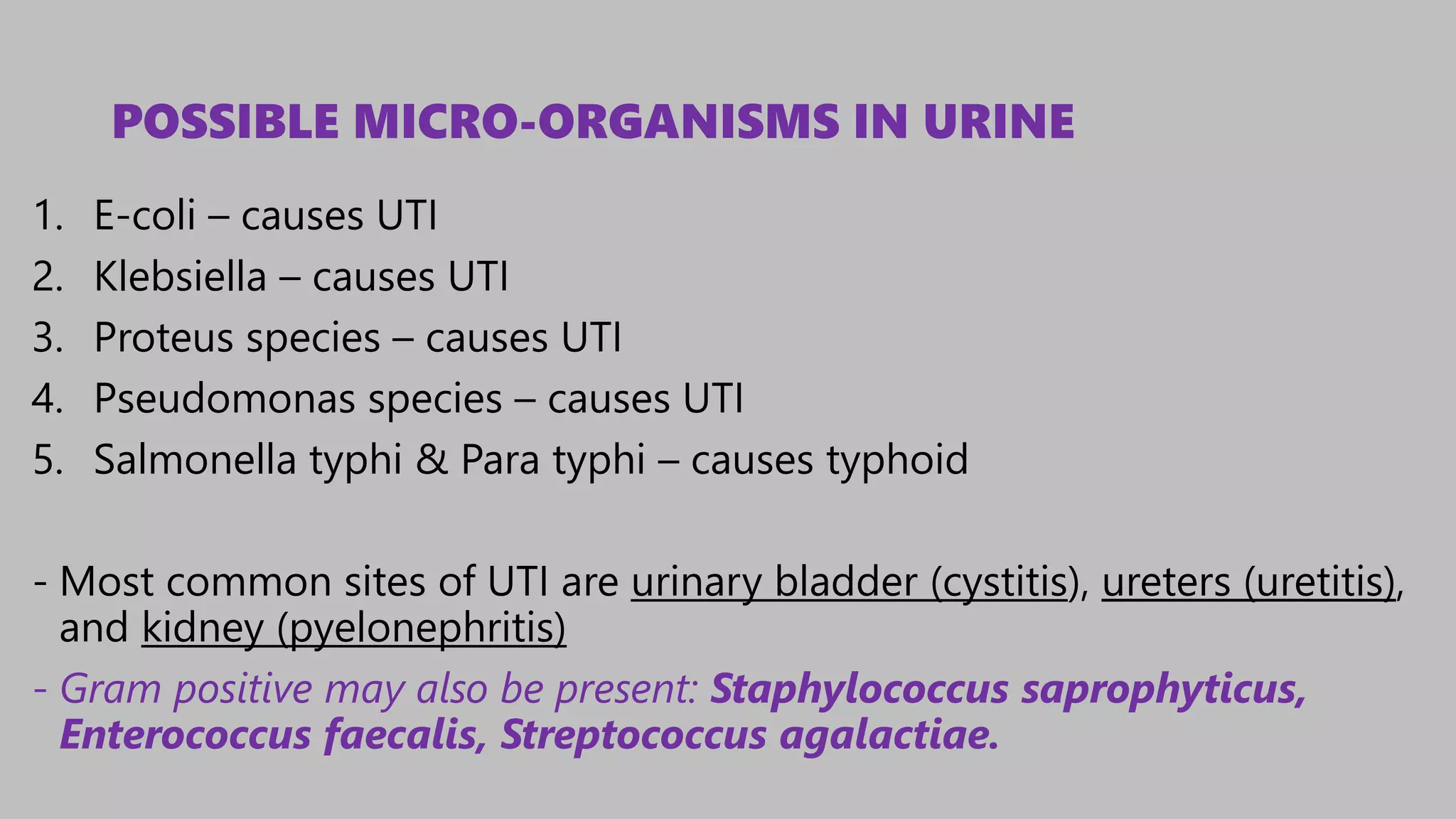 URINE CULTURE SPECIMEN.pptx