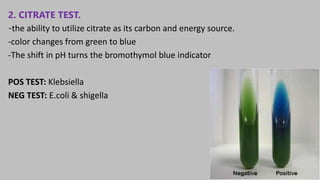 URINE CULTURE SPECIMEN.pptx