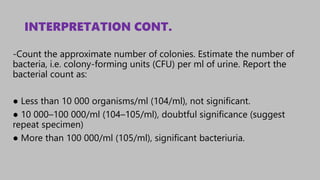 URINE CULTURE SPECIMEN.pptx