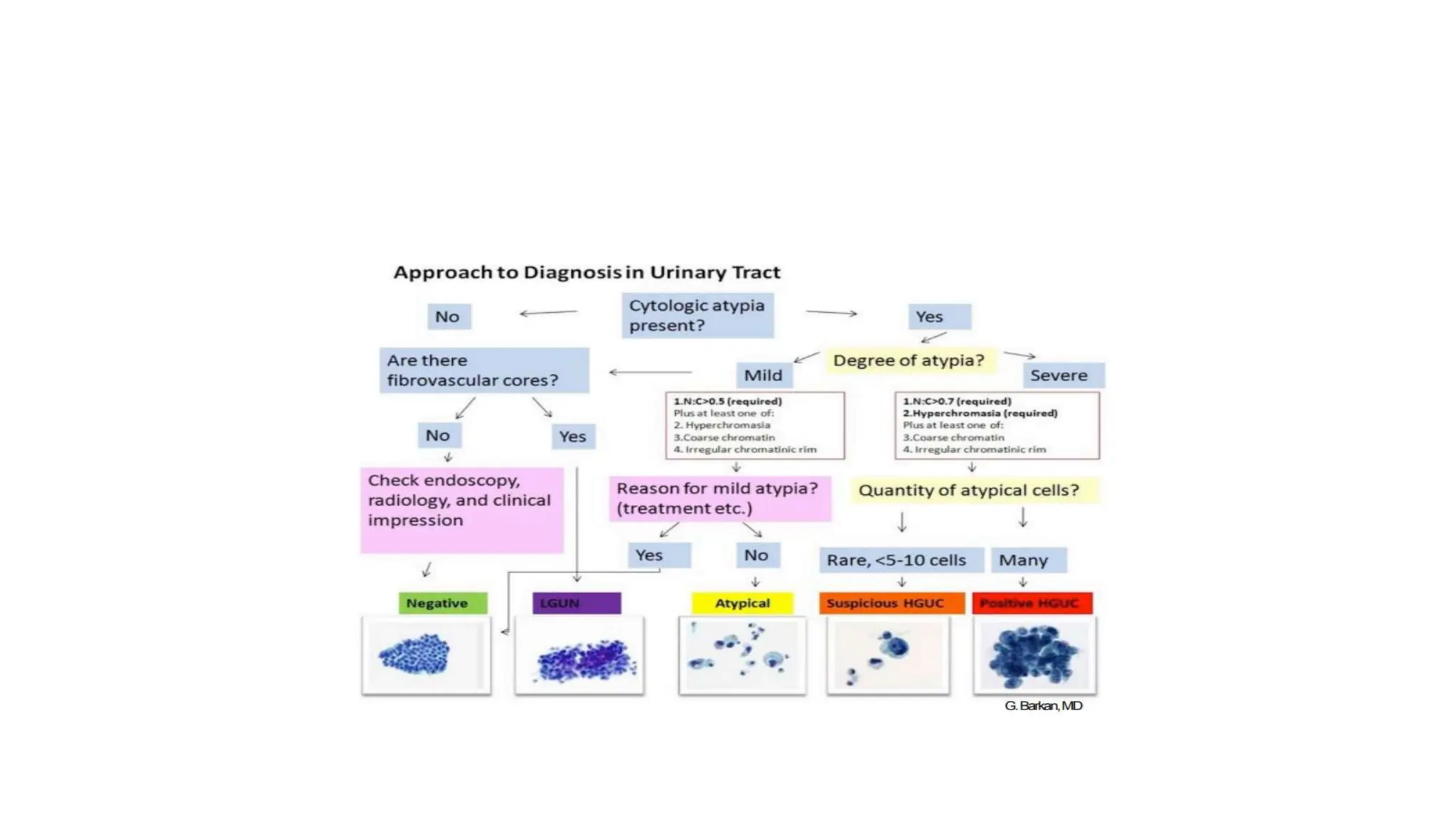 Urine cytology - Diagnostic Principles and Reporting.pptx