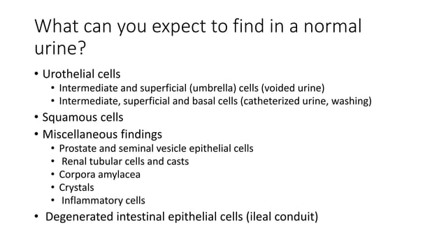Urine cytology - Diagnostic Principles and Reporting.pptx