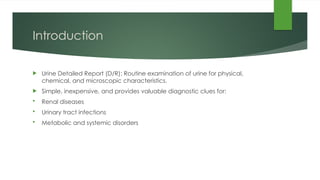 Urine Detailed Report (Urine DR) ppt.pptx