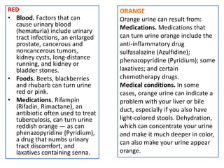 Urine detail examination | PPTX | Substance Abuse | Diseases and Conditions