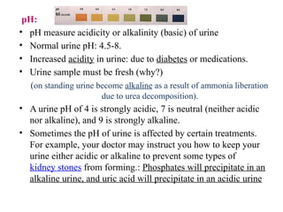 Biochemical routine urine analysis: an overview.pptx