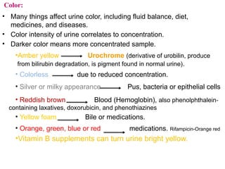 Biochemical routine urine analysis: an overview.pptx