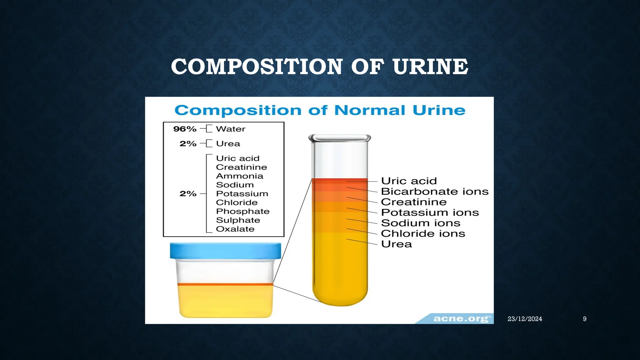 Point of Care Testing-Urine Dipstick Analysis.pptx