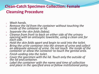 Urine dr.hamada elsadaway | PPT