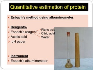 Urine examination | PPTX