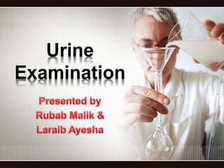 Urine examination | PPTX