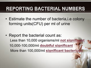 Urine examination | PPTX