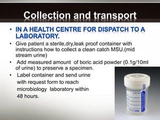 Urine examination | PPTX