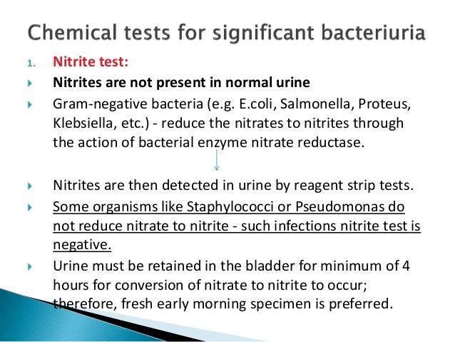 Nitrite In Urine