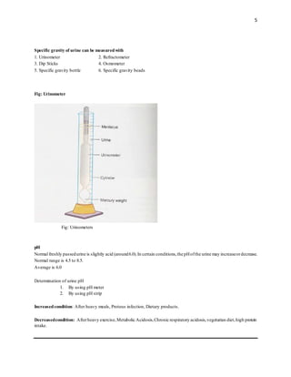 Urine examination | DOCX | Chemistry | Science