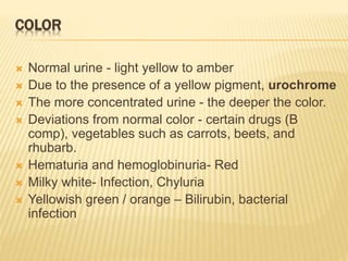 Urine examination | PPTX