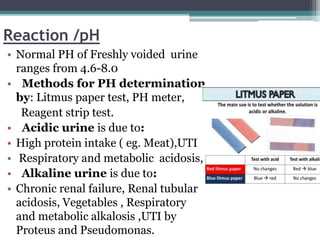 Urine examination , urine, chemical examination | PPTX